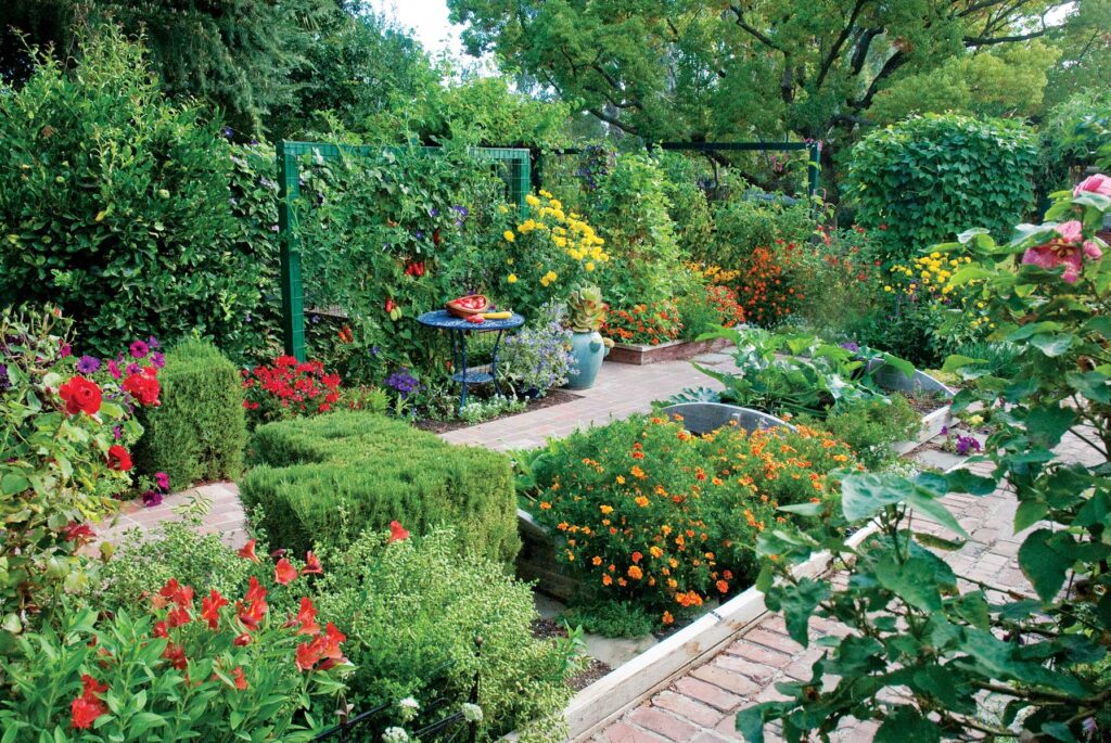 Landscaping Ideas After Tree Removal Treeier Landscaping Ideas After Tree Removal Treeier