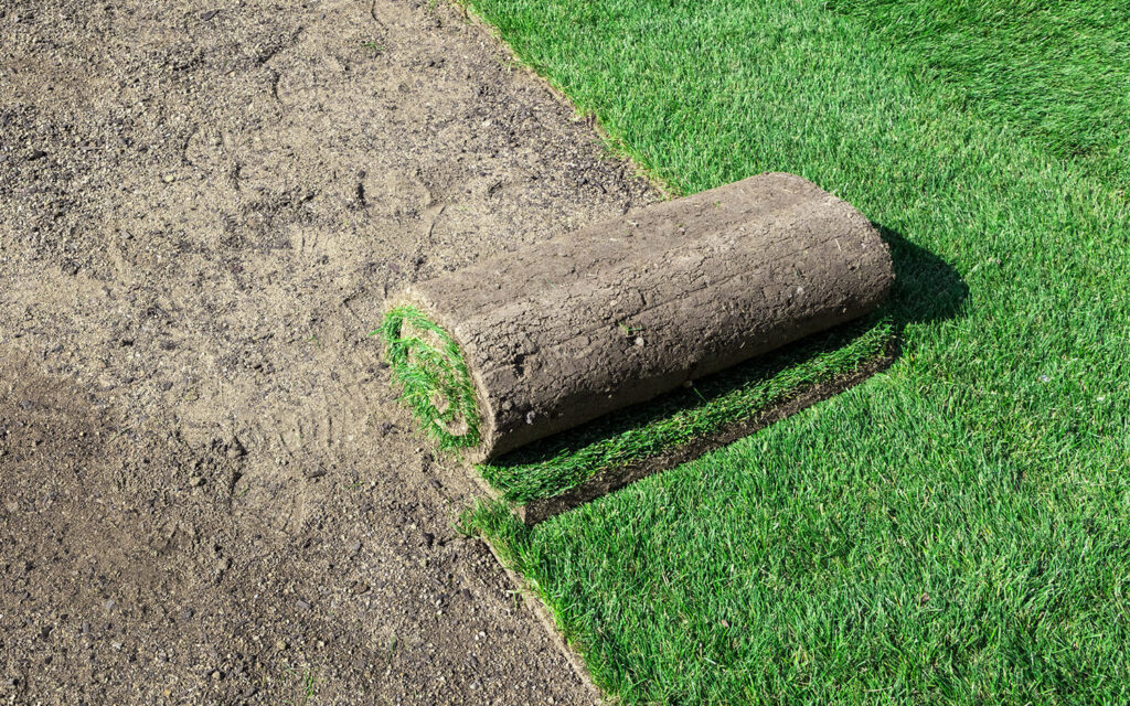 Tree Spacing Calculator - Treeier