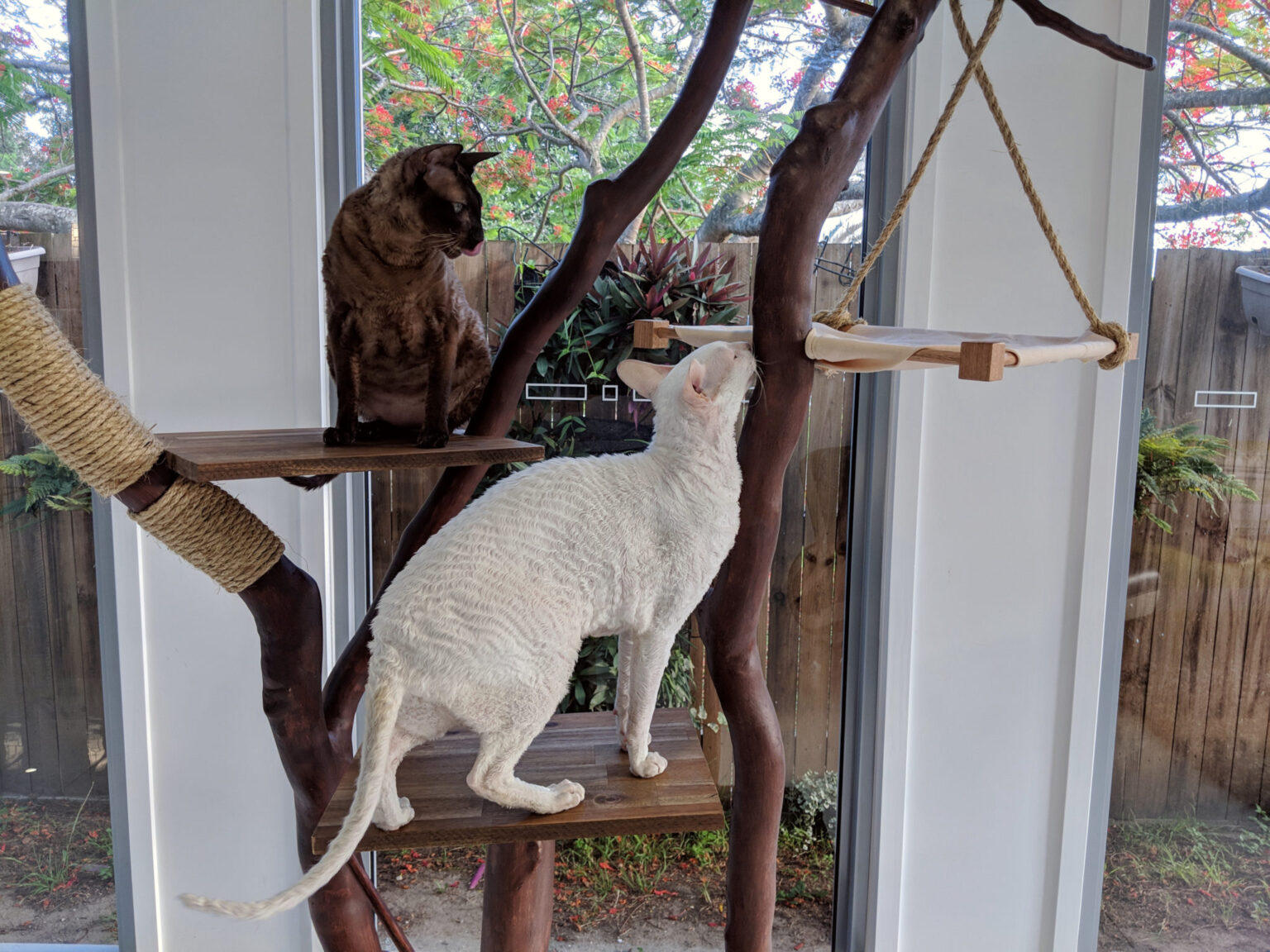 DIY Cat Tree - How to Build a DIY Cat Tree at Home