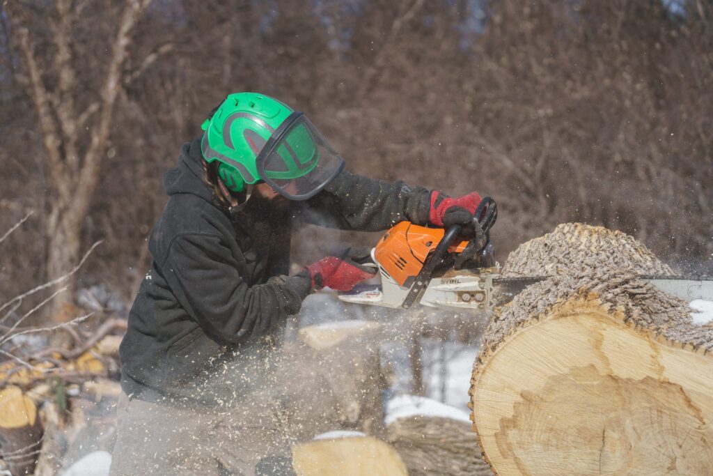 Osha tree removal regulations - Treeier