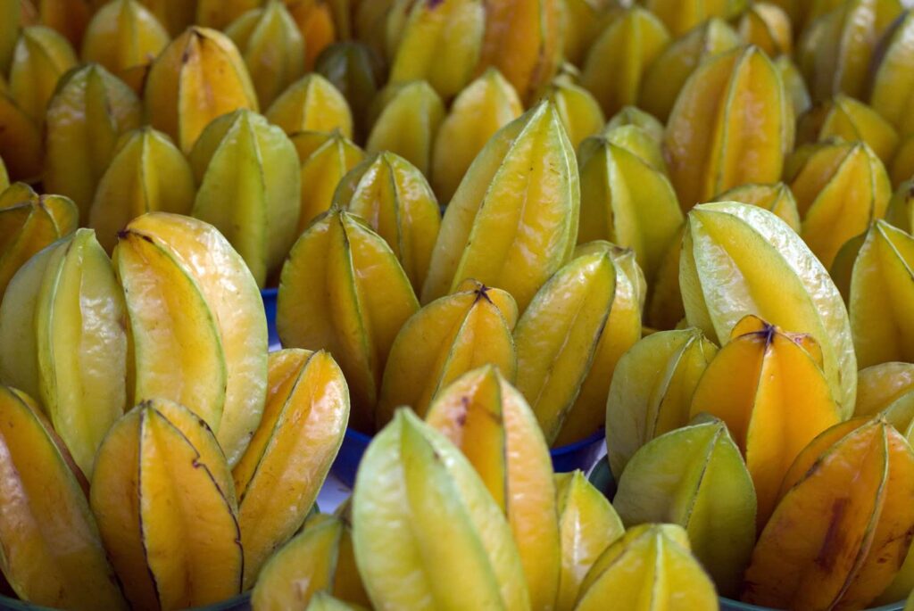 How to Grow and Care Star fruit in Garden, Pot & outdoors from Seed ...