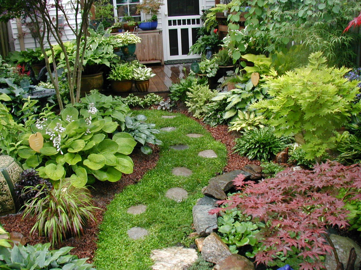 Creating a Shade Garden with Hostas and Ferns - Treeier