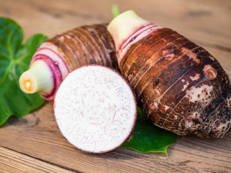 How to Grow taro in Garden, Pot & Indoors from Seed - Treeier